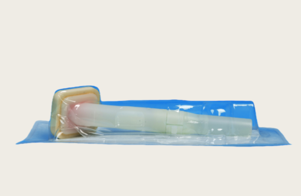 Chlorhexidine Disinfection: A Comprehensive Guide - CHG APPLICATOR ...